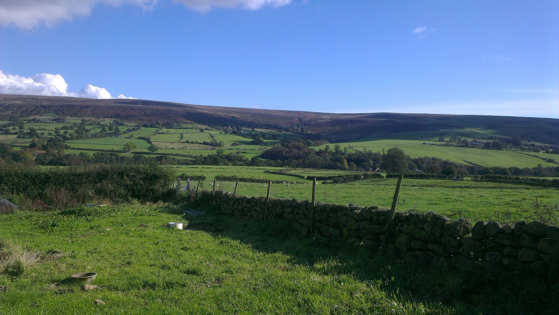 Wake Up With Sheep At Your Door At This North Yorkshire Shepherd's Hut ...
