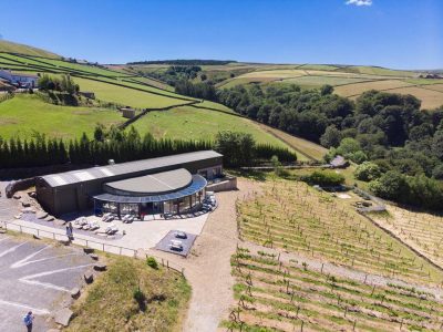 Vineyards In Yorkshire: Where To Find Them - The Yorkshireman