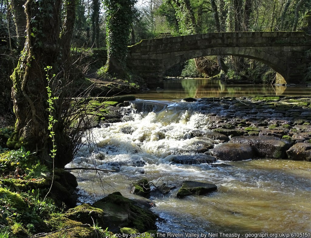 Beautiful Nature Walks In South Yorkshire - The Yorkshireman