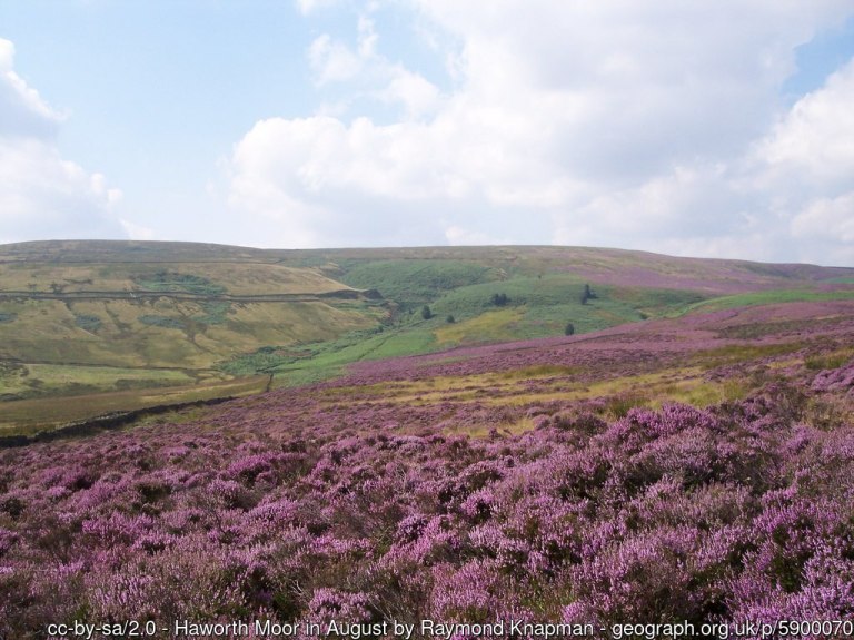12 Of The Best Scenic Spring Walks In Yorkshire To Try