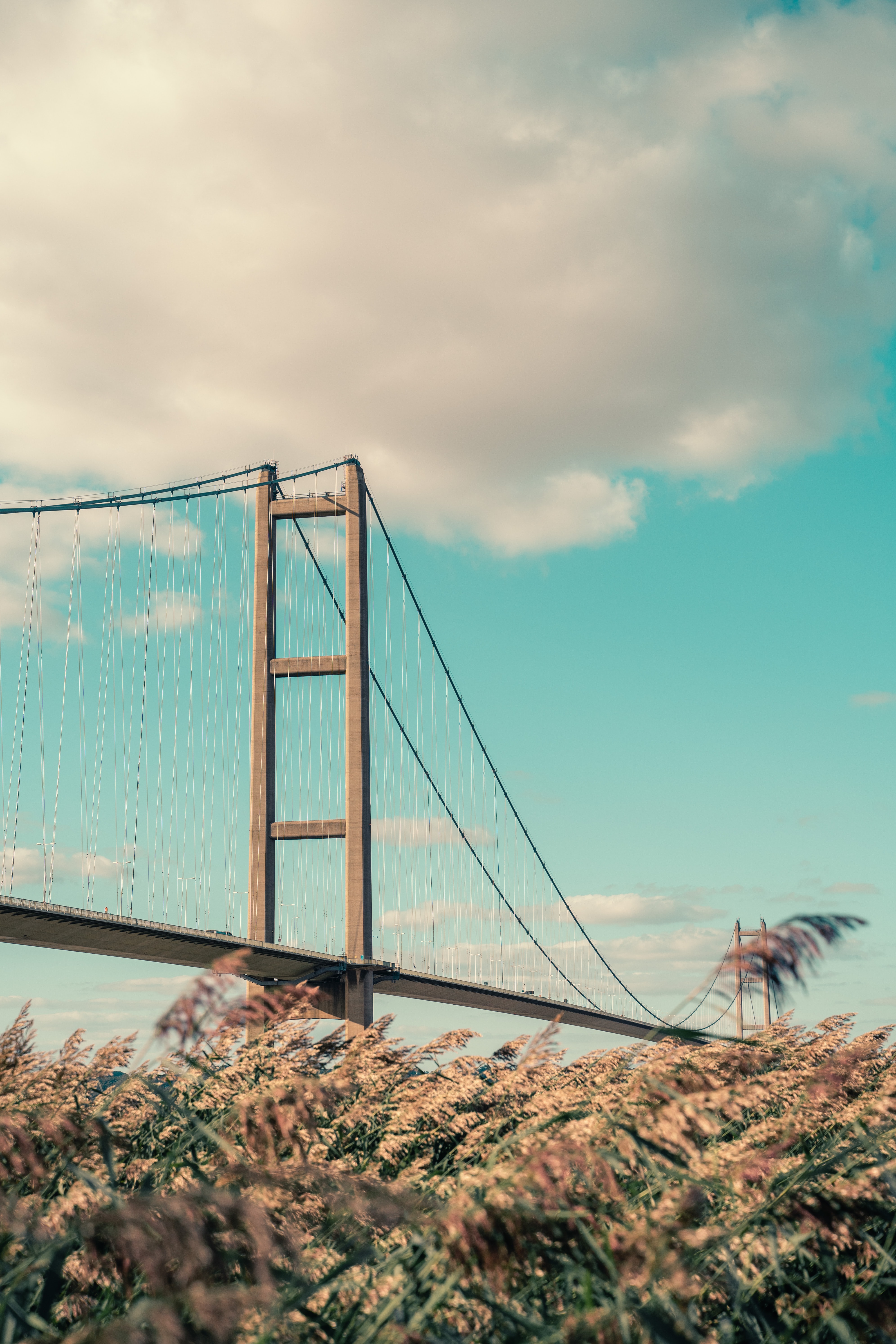 Yorkshire Wolds Way: A Guide To - The Yorkshireman