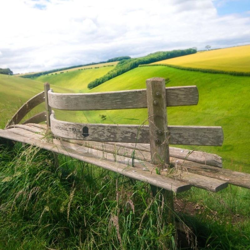 Farndale: Yorkshire's Daffodil Valley - The Yorkshireman