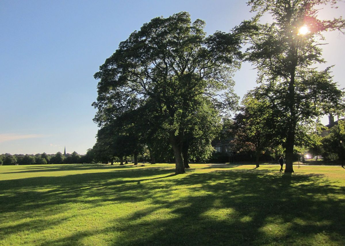 The Stray In Harrogate Could Be Transformed Into An Alfresco Summer ...