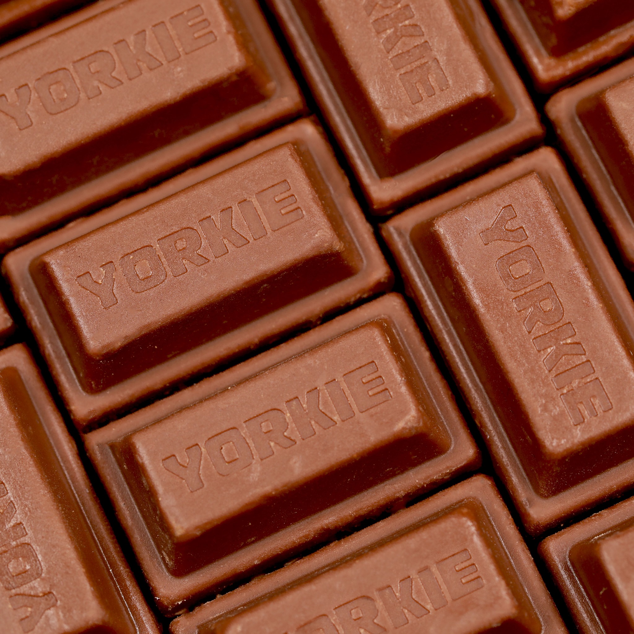 Yorkie Chocolate Orange: When Can You Get Yours? - The Yorkshireman