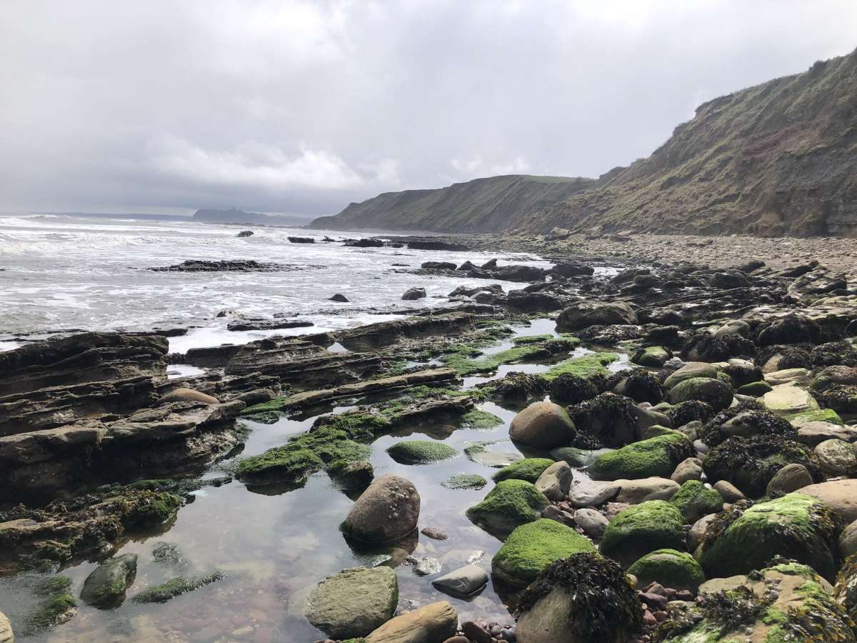 The Largest Dinosaur Footprint In Yorkshire Has Been Discovered On The ...