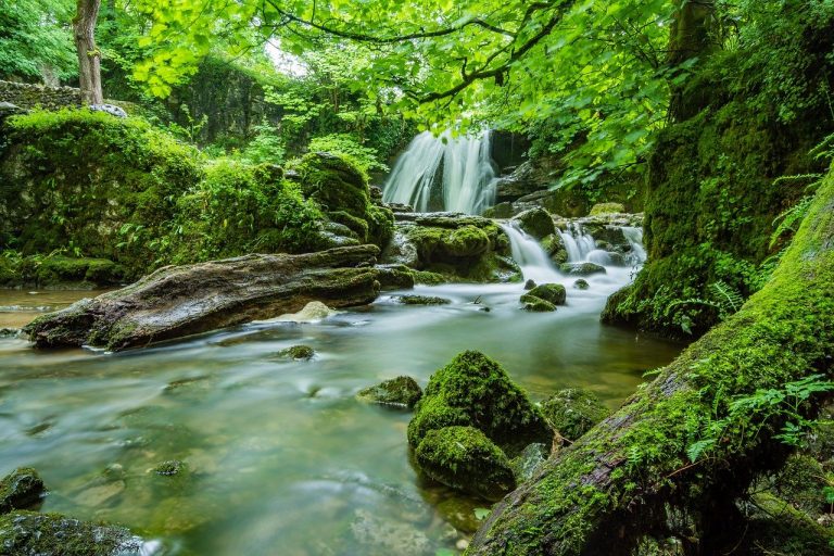 Hardraw Force Waterfall Walk: England's Highest Single-Drop Falls