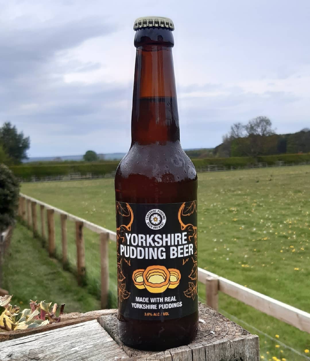 Yorkshire Pudding Beer: Yorkshire's #1 Pud Beer- The Yorkshireman