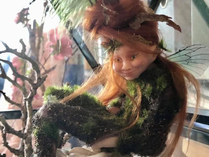 Northwood Trail Fairy Walk Near York In Stamford Bridge