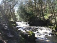 Goit Stock Waterfall: A West Yorkshire Gem - The Yorkshireman