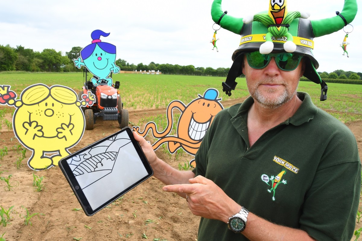 York Maze Mr Men & Little Miss: Book Tickets - The Yorkshireman