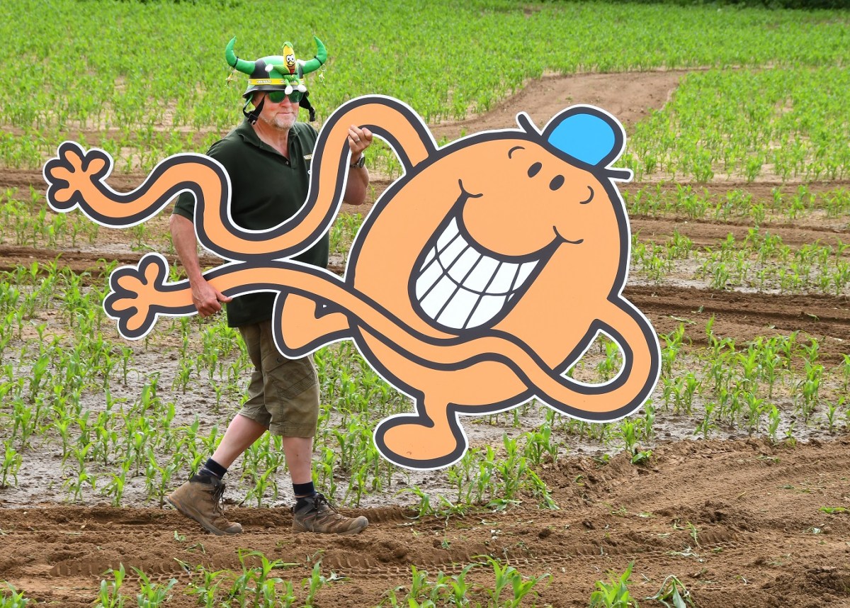 York Maze Mr Men & Little Miss: Book Tickets - The Yorkshireman