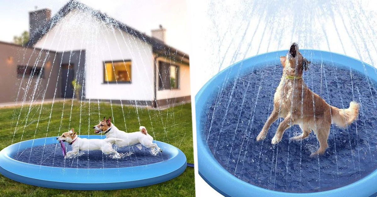 You Can Now Get A Doggy Paddling Pool With Sprinklers For Just £25.99 ...