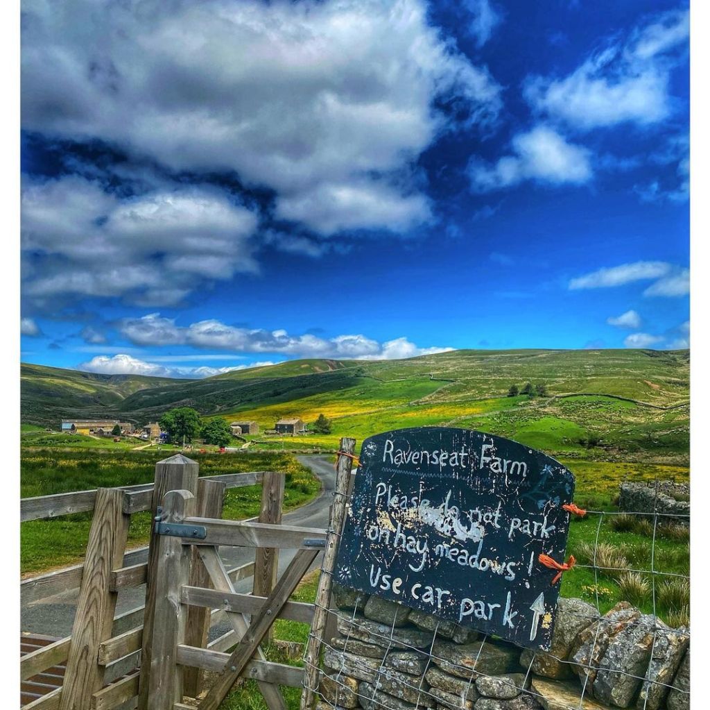 Cream Tea Ravenseat Farm: Our Yorkshire Farm - The Yorkshireman
