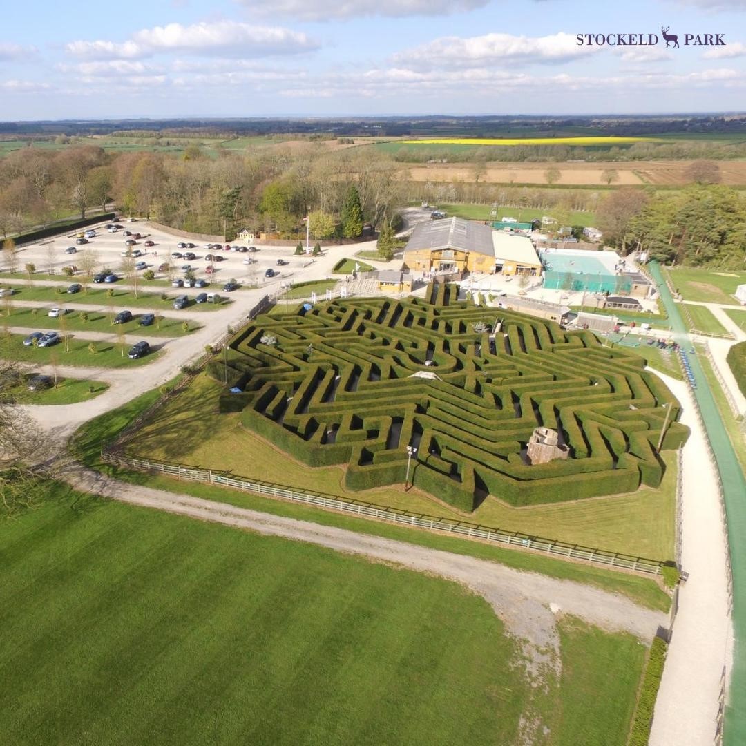 Stockeld Park Jurassic Summer: How To Book Tickets - The Yorkshireman