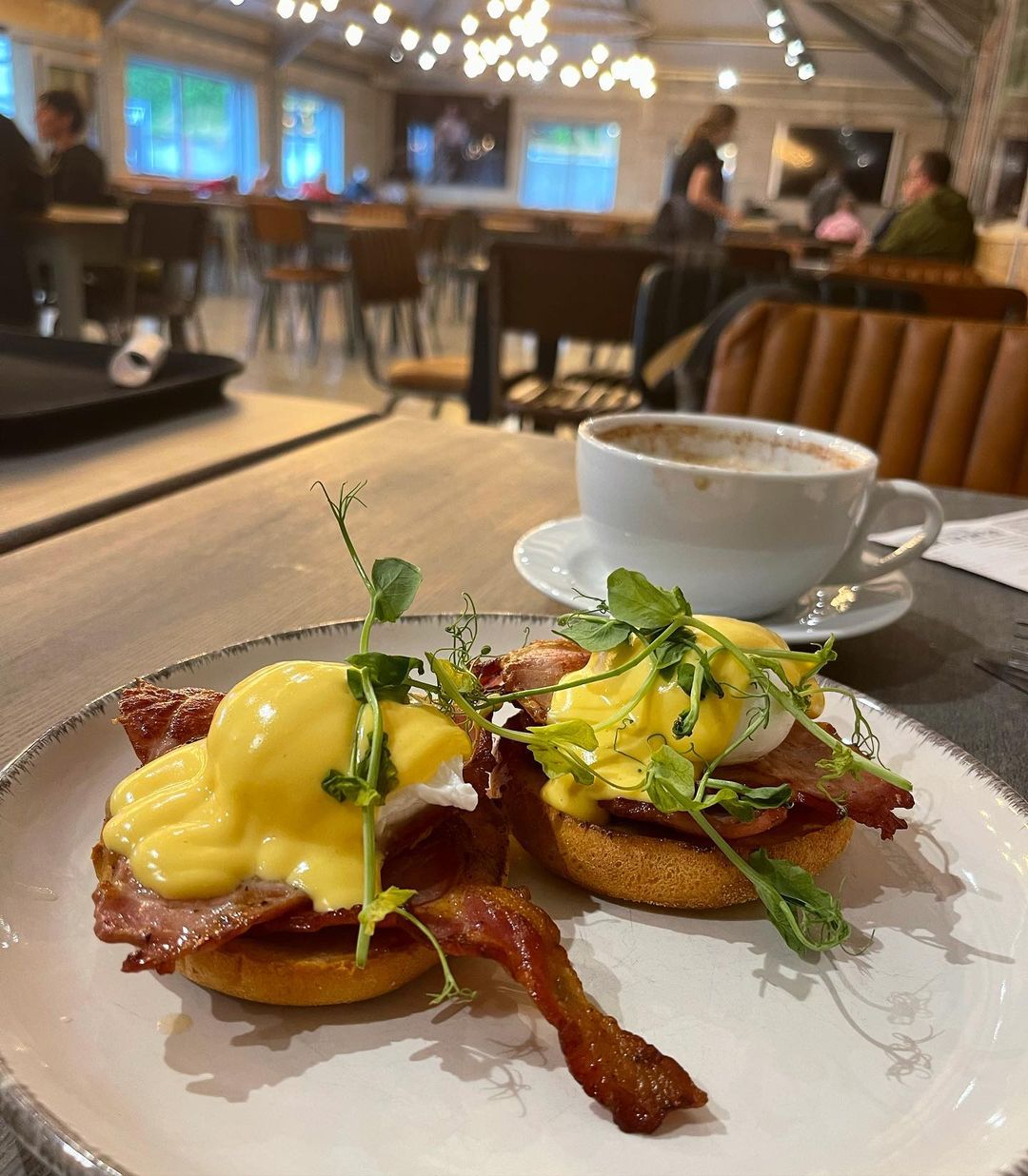The Lucky Pup: Barnsley's New Dog Cafe - The Yorkshireman