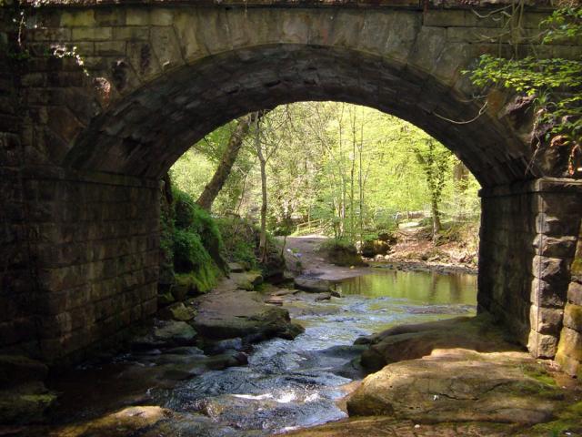 Falling Foss Tea Garden: 30ft Woodland Waterfall - The Yorkshireman