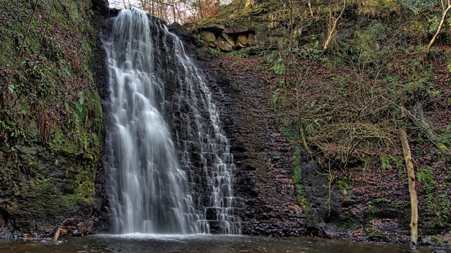 Falling Foss Tea Garden: 30ft Woodland Waterfall - The Yorkshireman