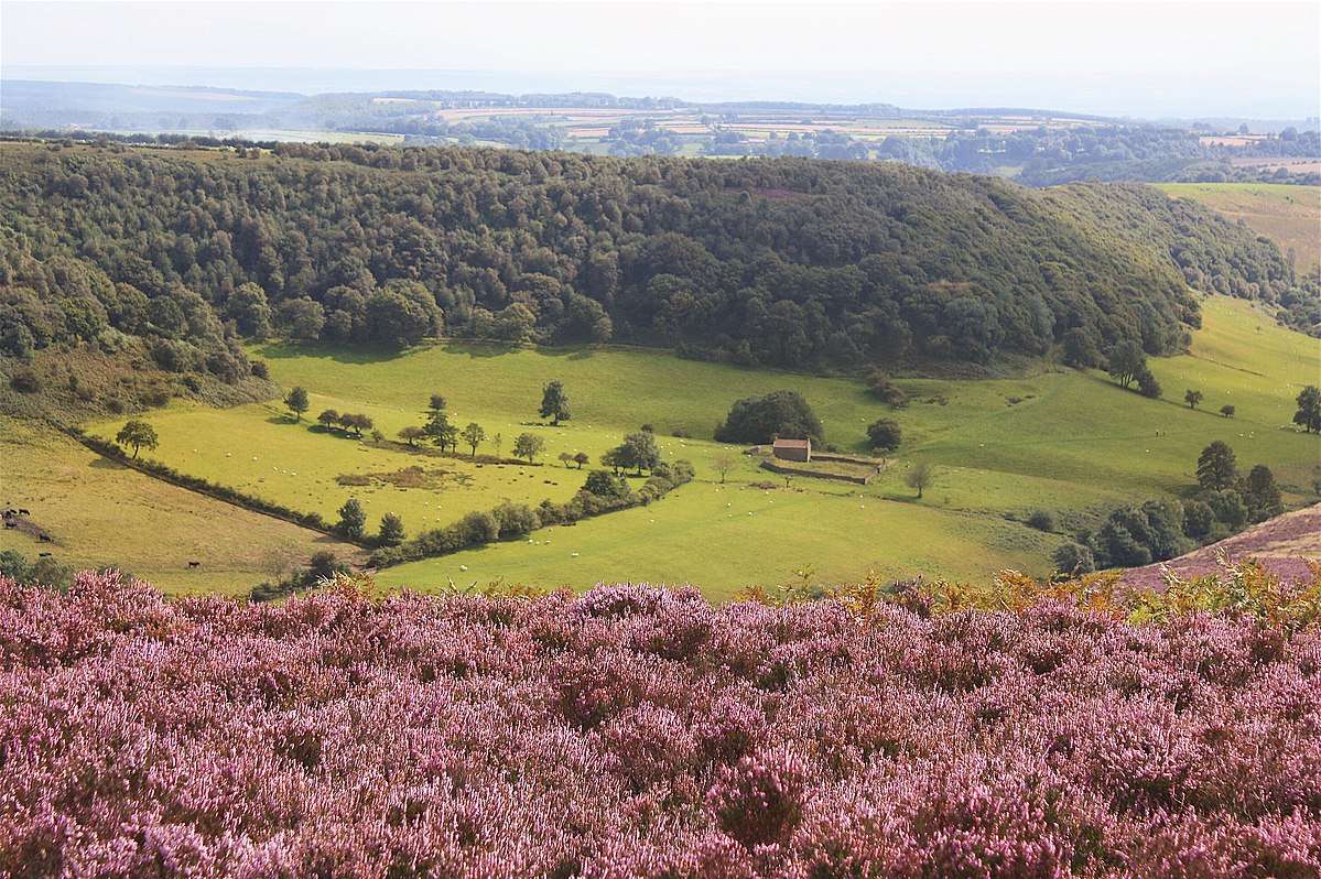 7 Of The Best Yorkshire Towns And Villages - The Yorkshireman