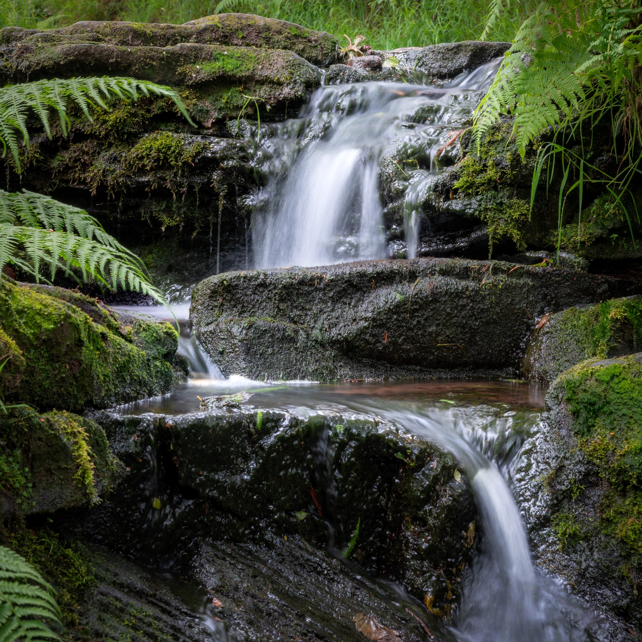 Folly Dolly Falls: A West Yorkshire Hidden Gem - The Yorkshireman