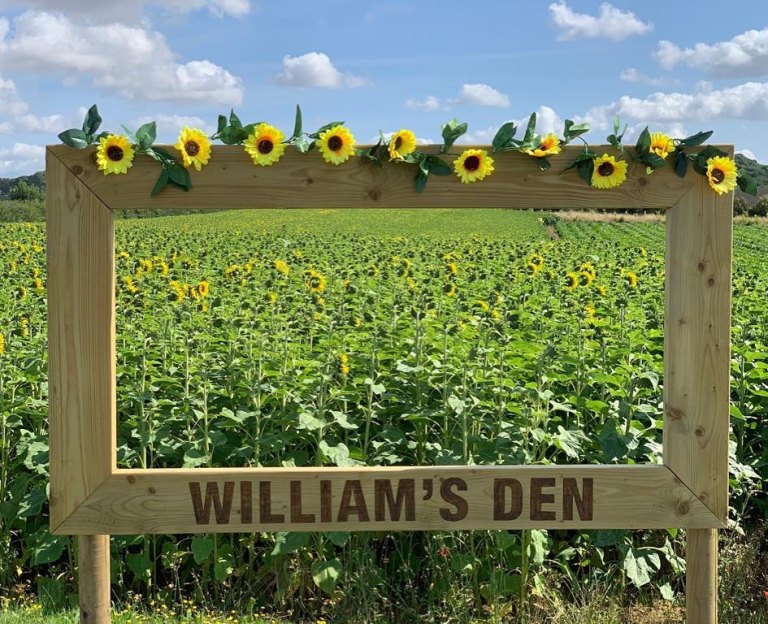 William's Den Adventure Park: East Yorkshire - The Yorkshireman