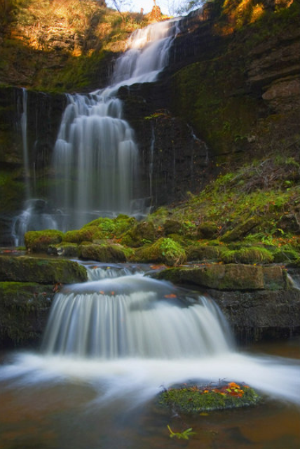 Scaleber Force: Stunning 40ft Woodland Waterfall - The Yorkshireman