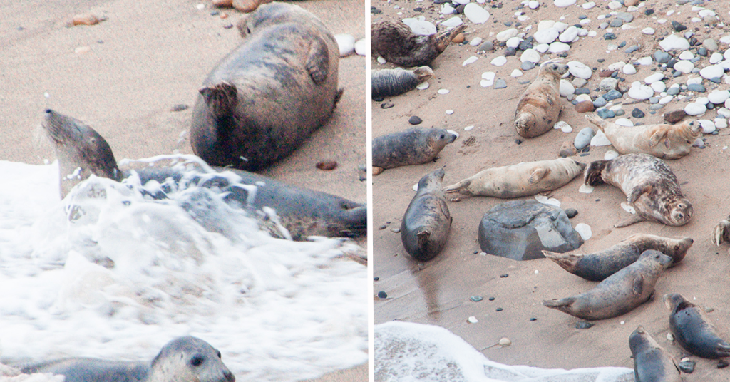 Transpennine Real Ale Trail: The Ultimate Guide To - The Yorkshireman