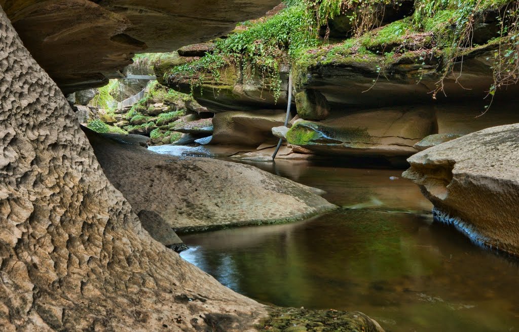 How Stean Gorge: The Best Place To Ghyll Scramble - The Yorkshireman