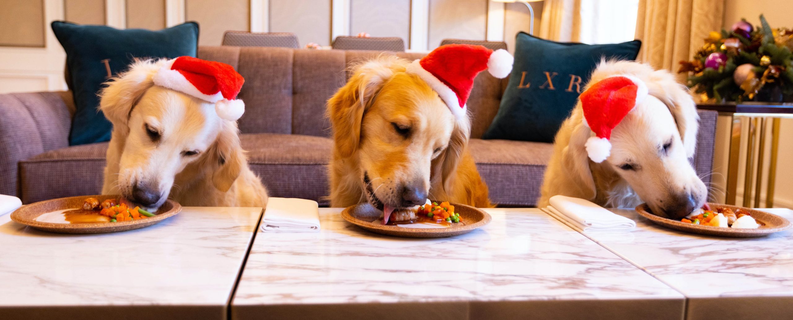 This Yorkshire Hotel Chain Is Serving A Luxury Christmas Dinner For ...