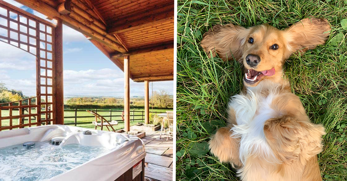 Dog Friendly Log Cabins With Hot Tubs Yorkshire - The Yorkshireman