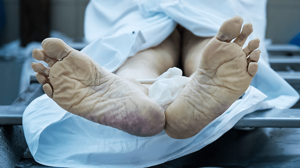 A Bonkers Live Post-Mortem Experience Is Coming To Yorkshire This ...