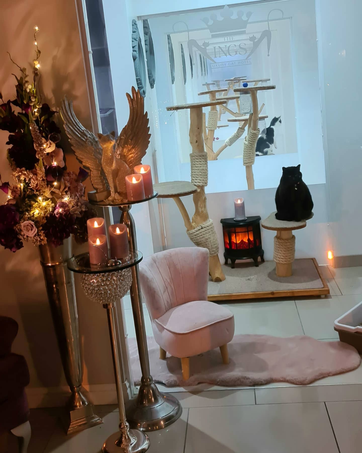 The Ings Luxury Cat Hotel Yorkshire - The Yorkshireman