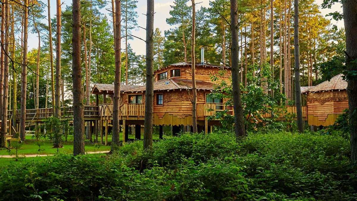 7 Of The Best Treehouse Stays In Yorkshire - The Yorkshireman