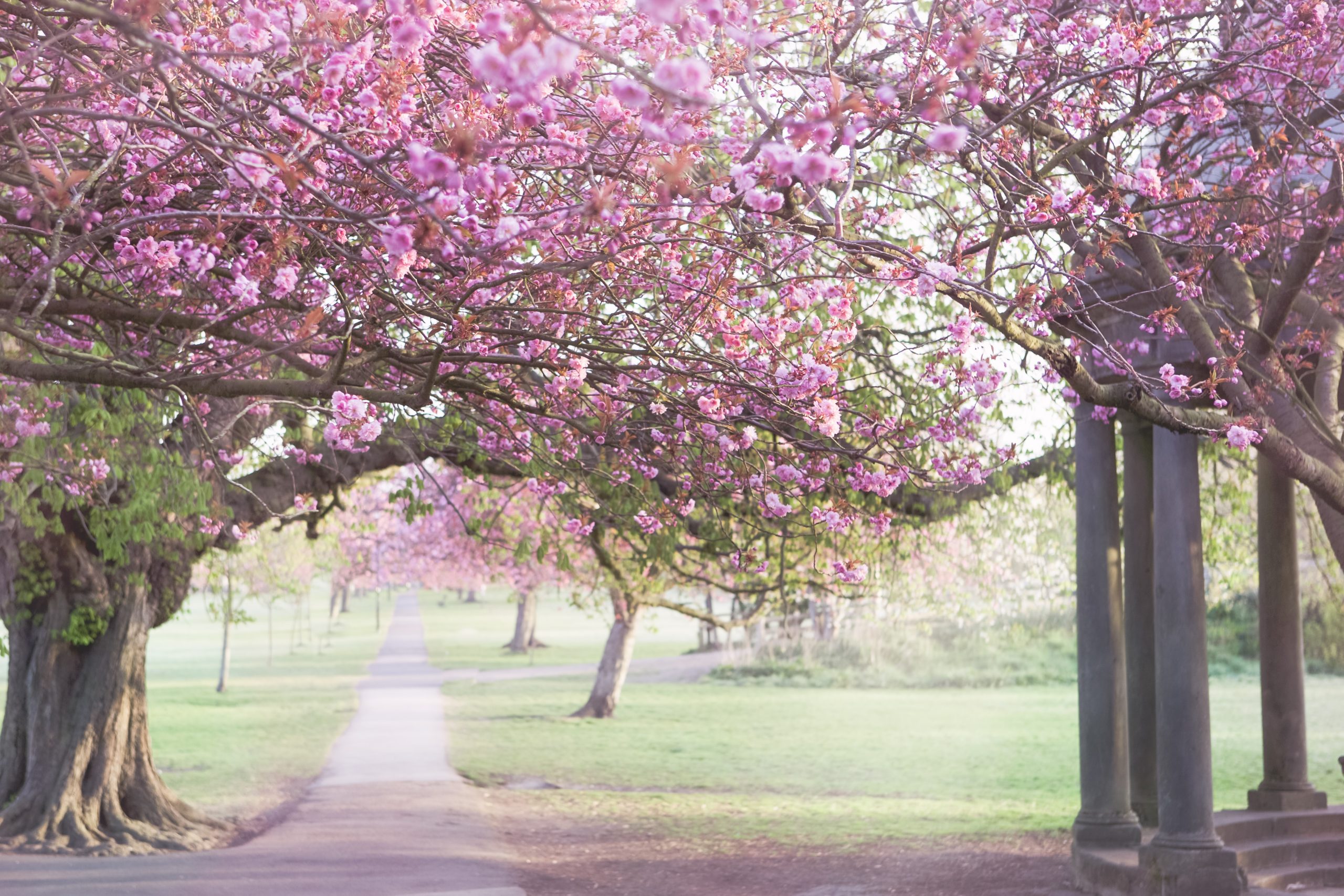 20 Beautiful Gardens To Visit In Yorkshire In Spring & Summer
