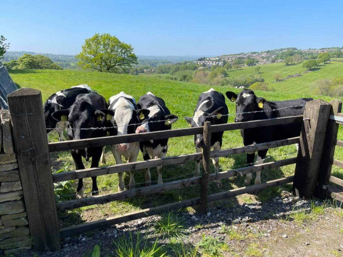 Hinchliffe's Huddersfield: Britain's Oldest Farm Shop