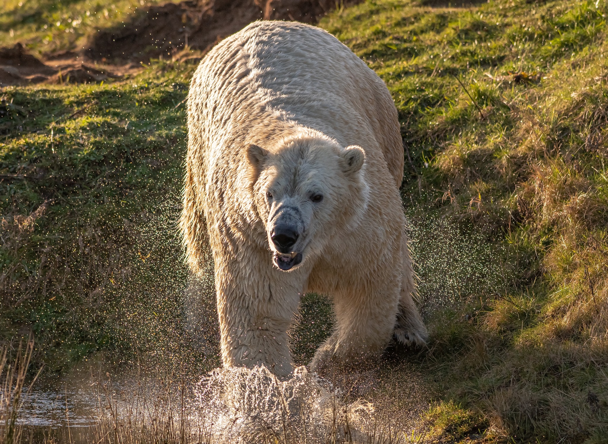 Yorkshire Slang: The Ultimate Guide To DIalect - The Yorkshireman