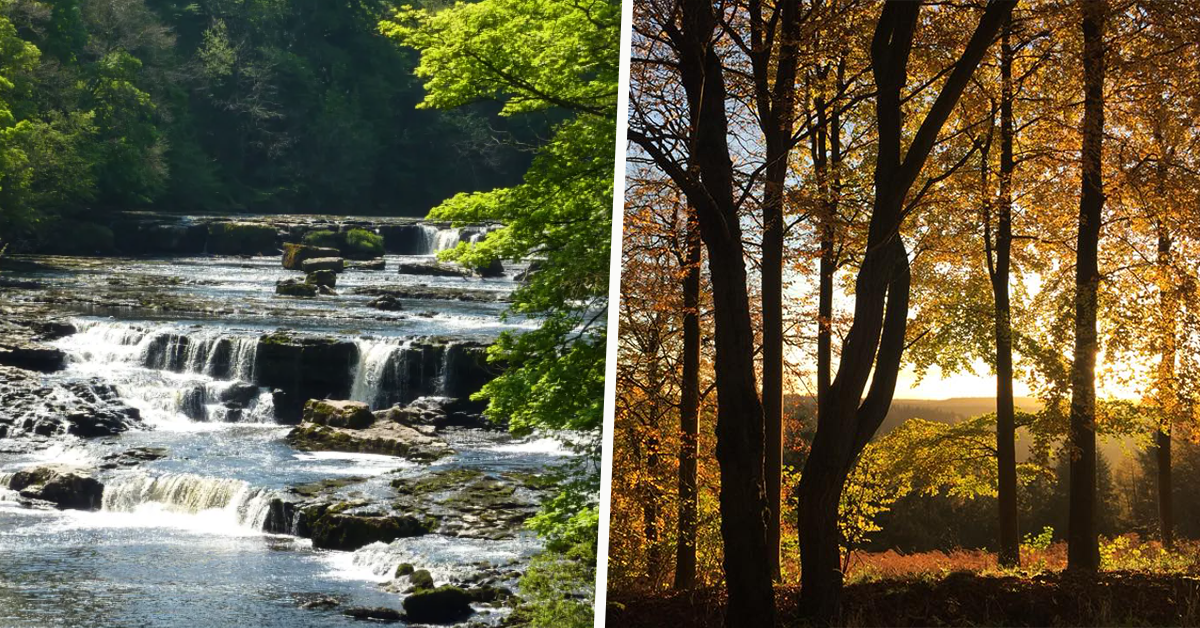 9 Autumn Walks In Yorkshire: Coloured Forests, Lakes & Gardens