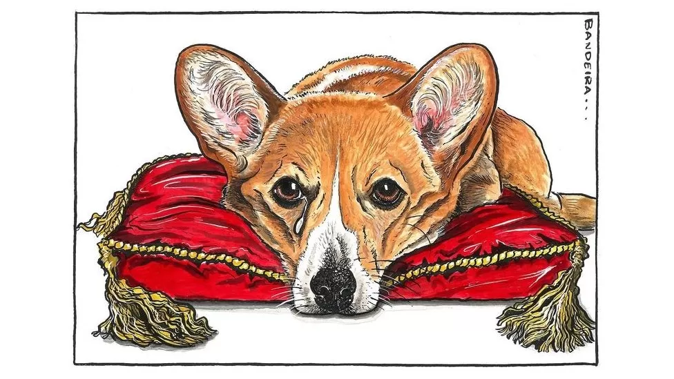 Yorkshire Illustrator's Sketch Of A Crying Corgi Goes Viral After ...