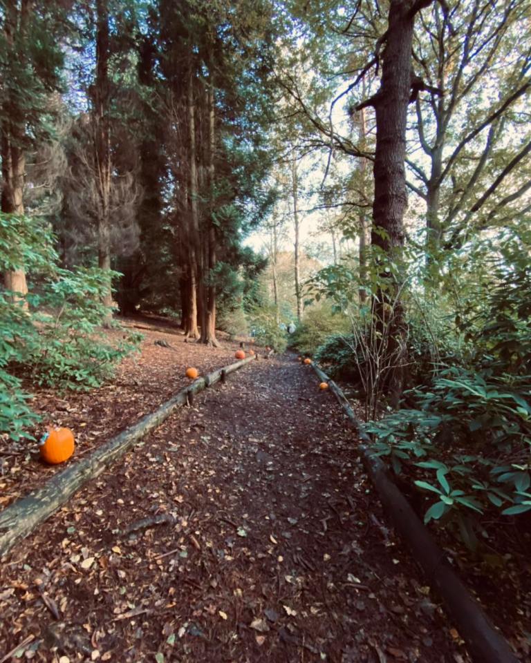 Golden Acre Park Pumpkin Trail 2023 - Half Term Fun
