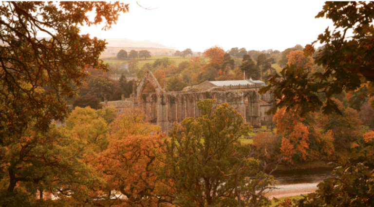 8 Of The Best Yorkshire Winter Walks - The Yorkshireman