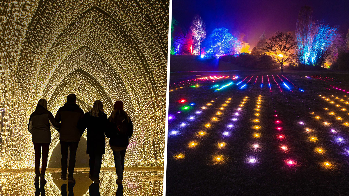 8 Of The Best Christmas Light Trails In Yorkshire 2024