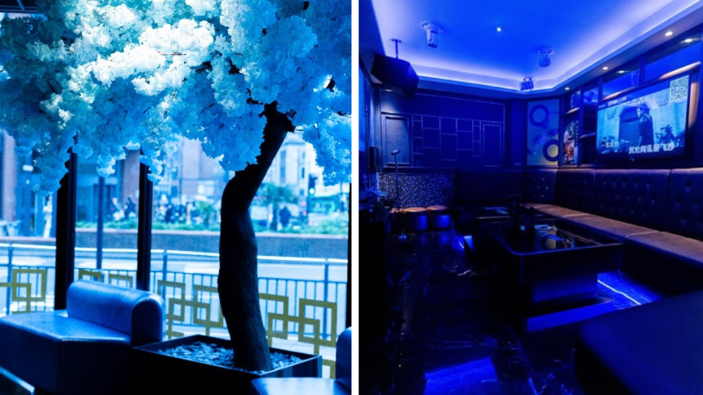 Blue-Pavillion Leeds: £3M Chinese Restaurant & Karaoke