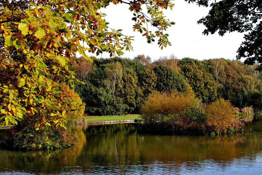 Beautiful Nature Walks In South Yorkshire - The Yorkshireman