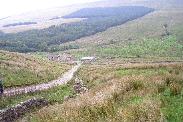 Yorkshire Dales Long-Lost Forest To Be Recreated With Over 100,000 ...