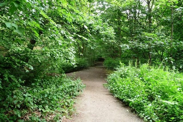 12 Of The Best Circular Walks In West Yorkshire