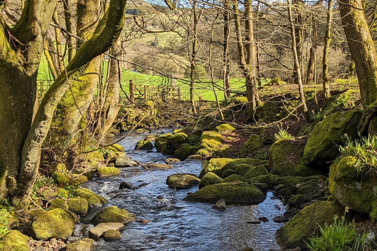 8 Of The Best West Yorkshire Wild Swimming Spots - The Yorkshireman