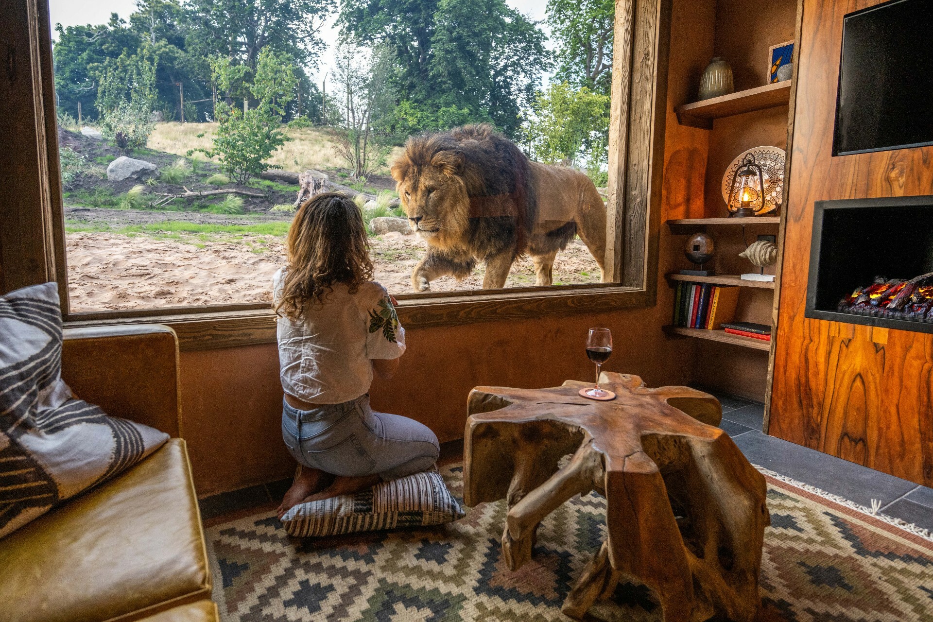 Sleep Next To Lions In New Safari Lodges Just Two Hours From Yorkshire ...