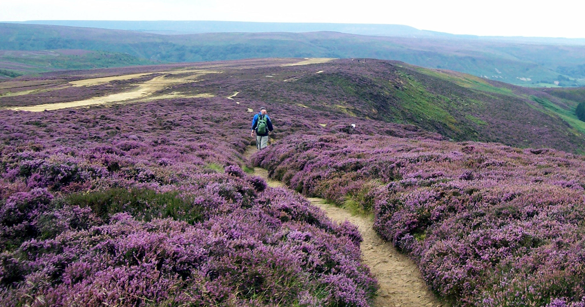 31 Things To Do With Kids In Yorkshire This Half Term (2025)