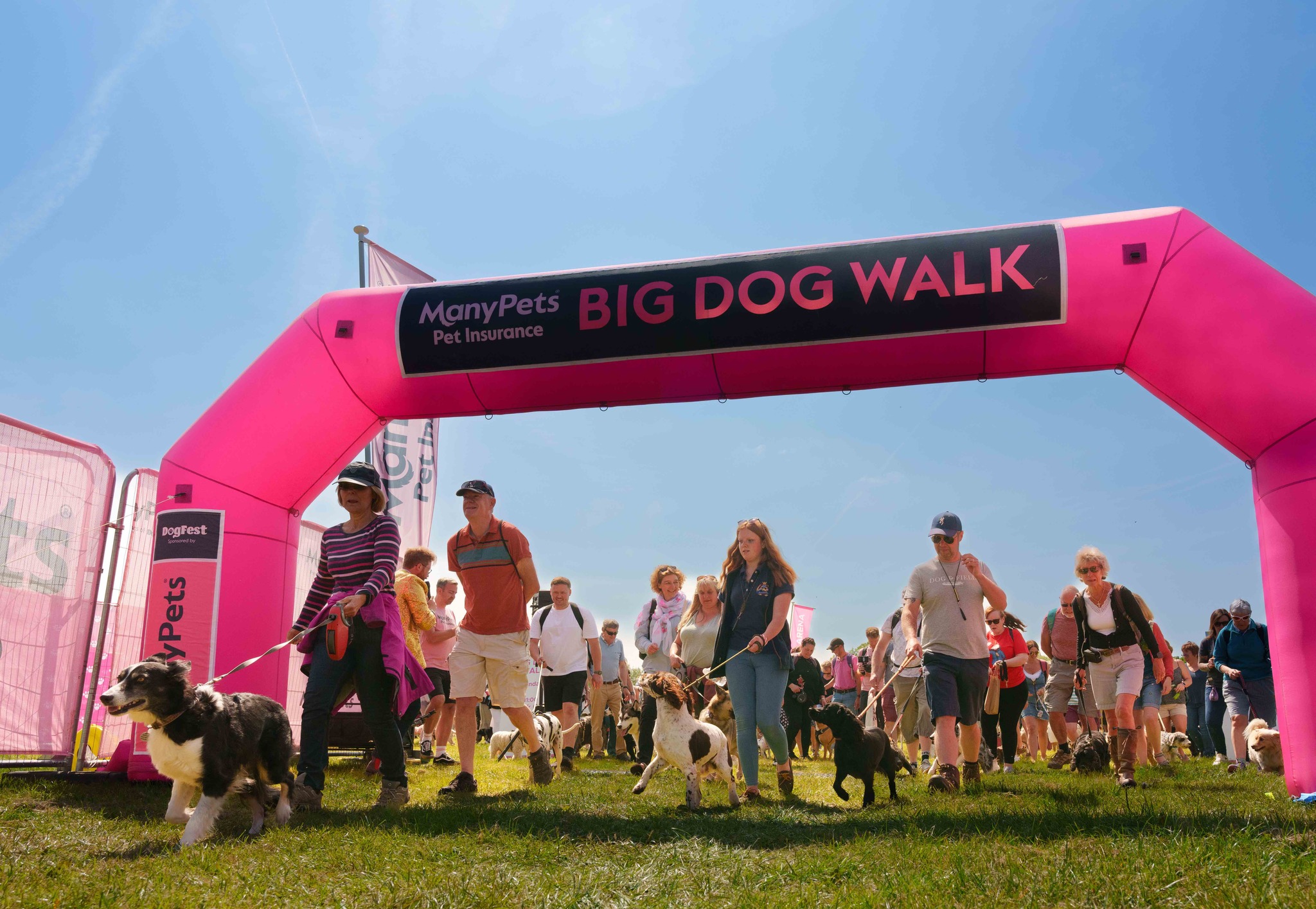 A Huge DogFest Is Coming To Yorkshire This Weekend - And It Sounds Paw ...