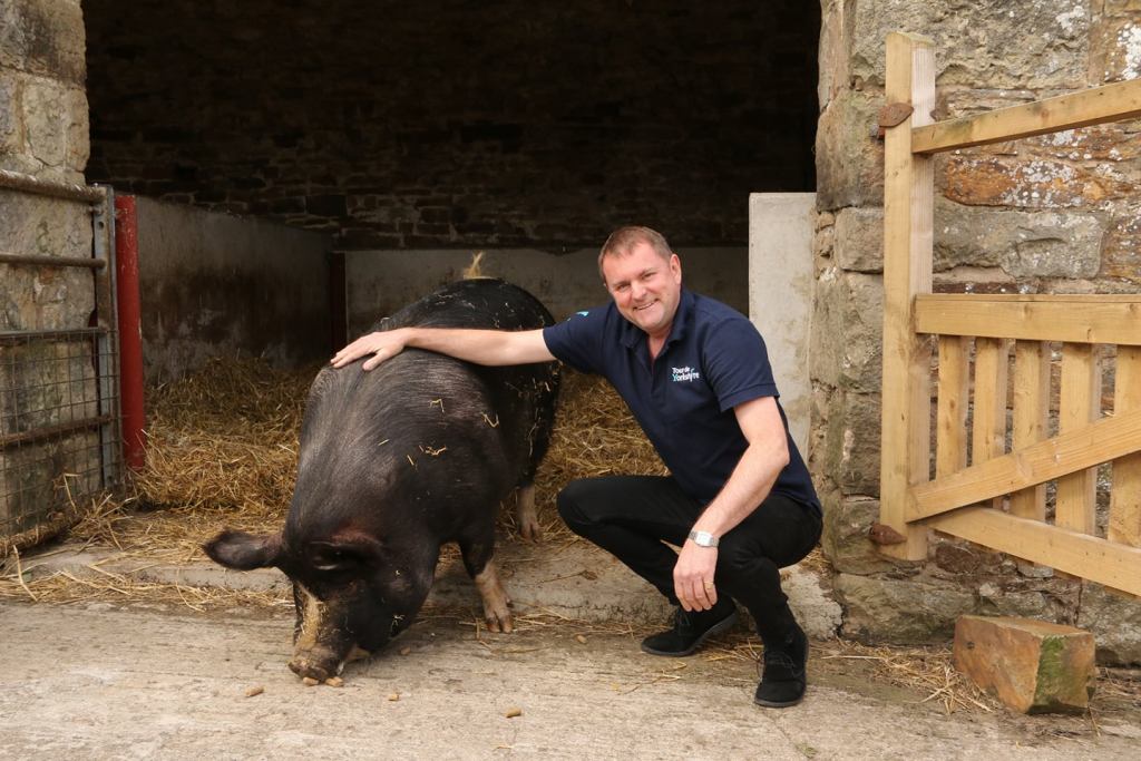You Can Experience Real Work On The Farm At This Yorkshire Dales Farm ...