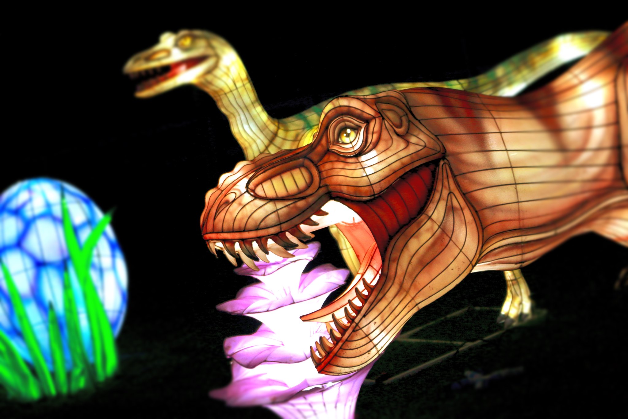 Yorkshire Wildlife Park's Epic Winter Illuminations Return To Doncaster ...